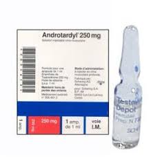 ANDROTARDYL INJ 250MG 1ML | HarakaMeds